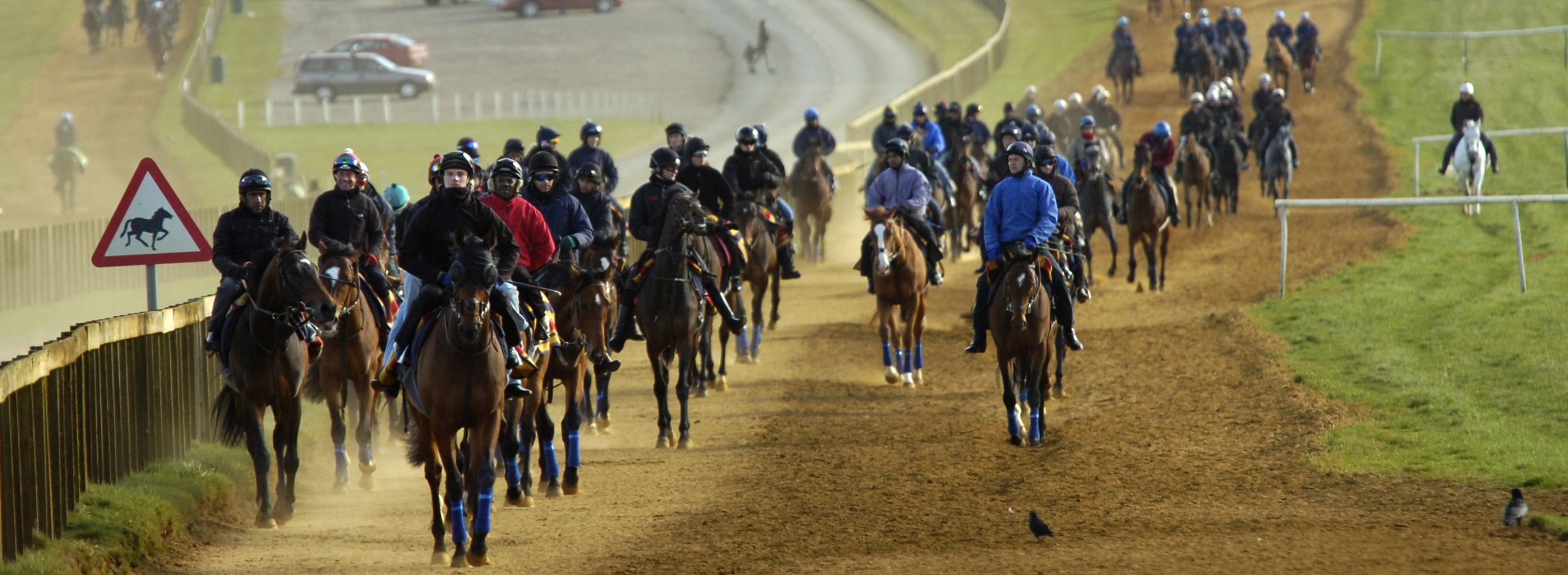 Newmarket Racing Club Trainers - Newmarket Racing Club