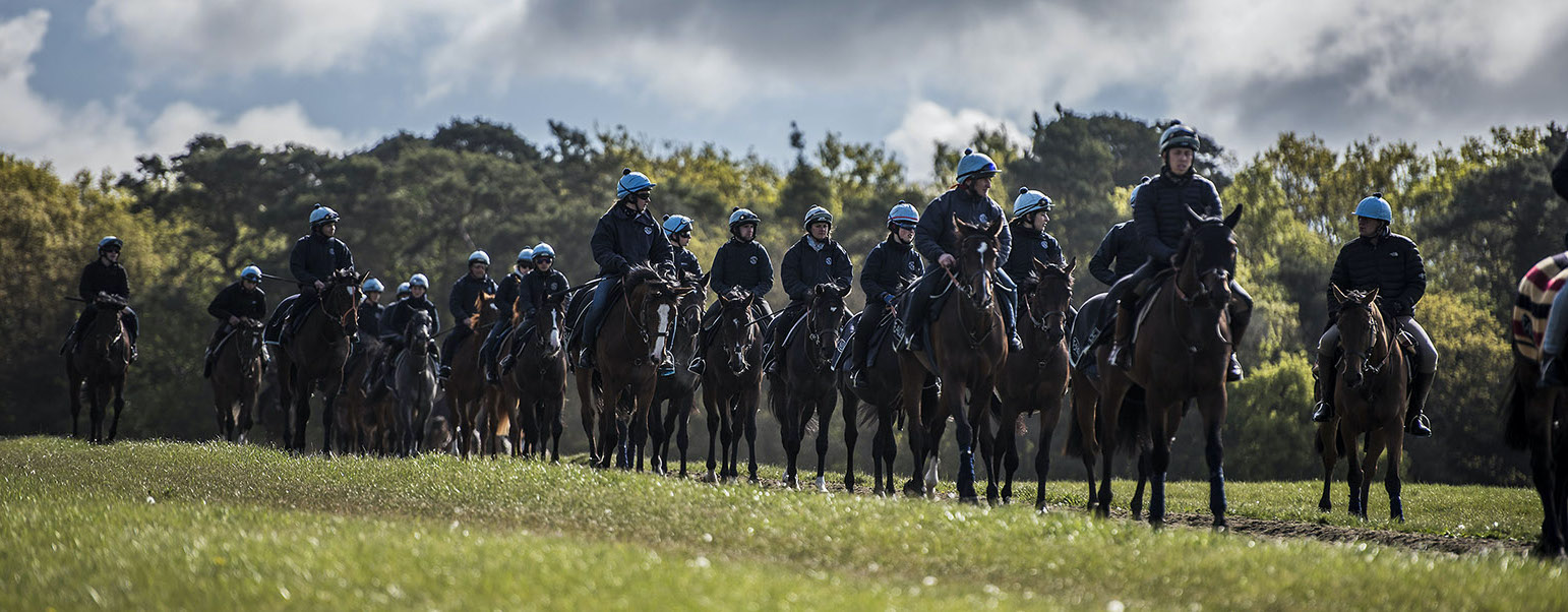 Newmarket Trainers | Newmarket Racing Club