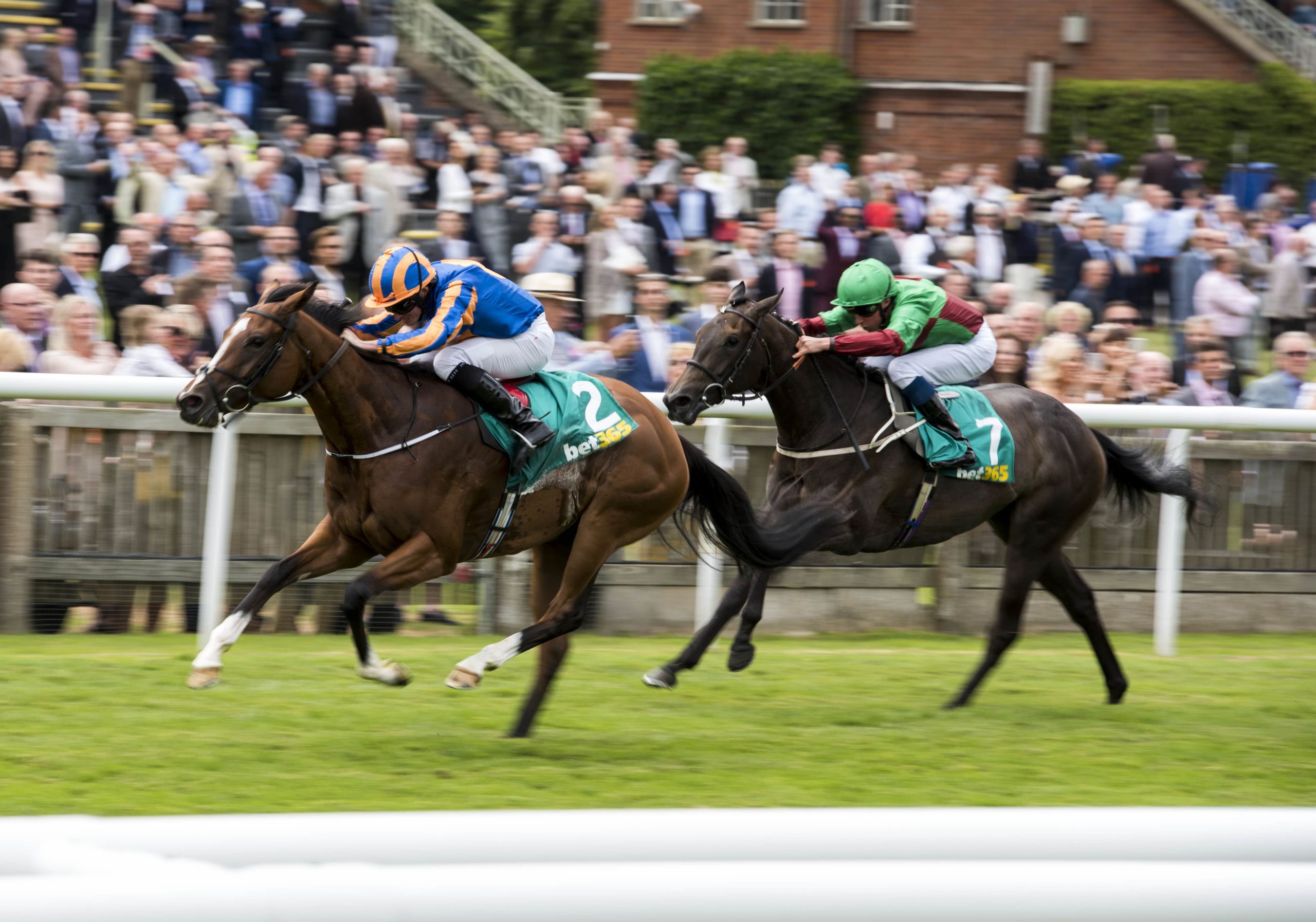 Gallery | Newmarket Racing Club