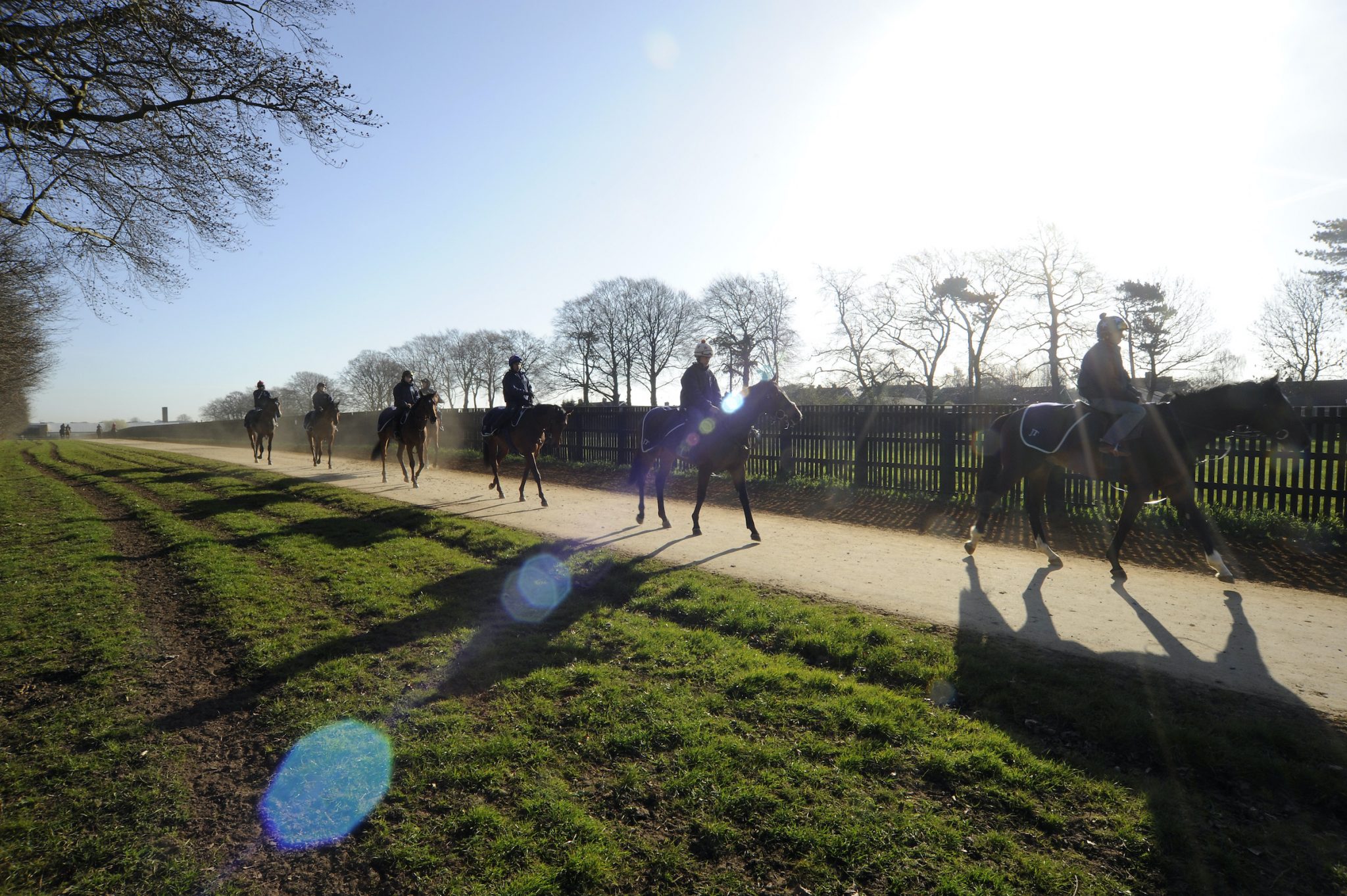 Newmarket Racing Club Trainers - Newmarket Racing Club