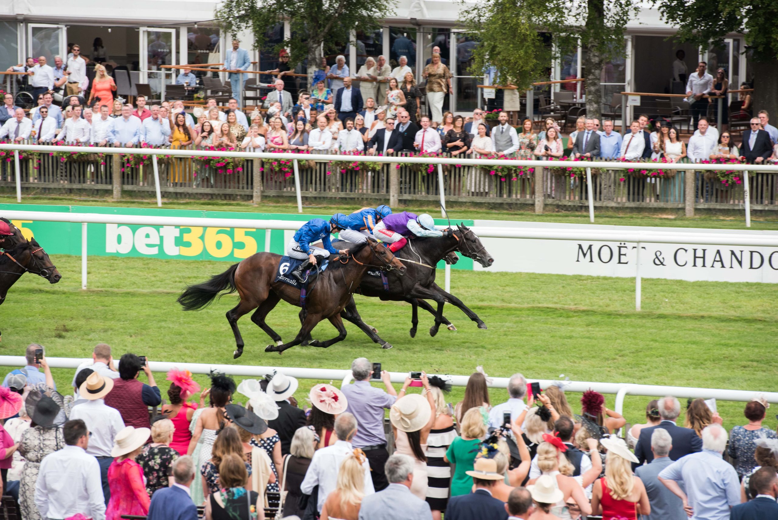 Gallery | Newmarket Racing Club