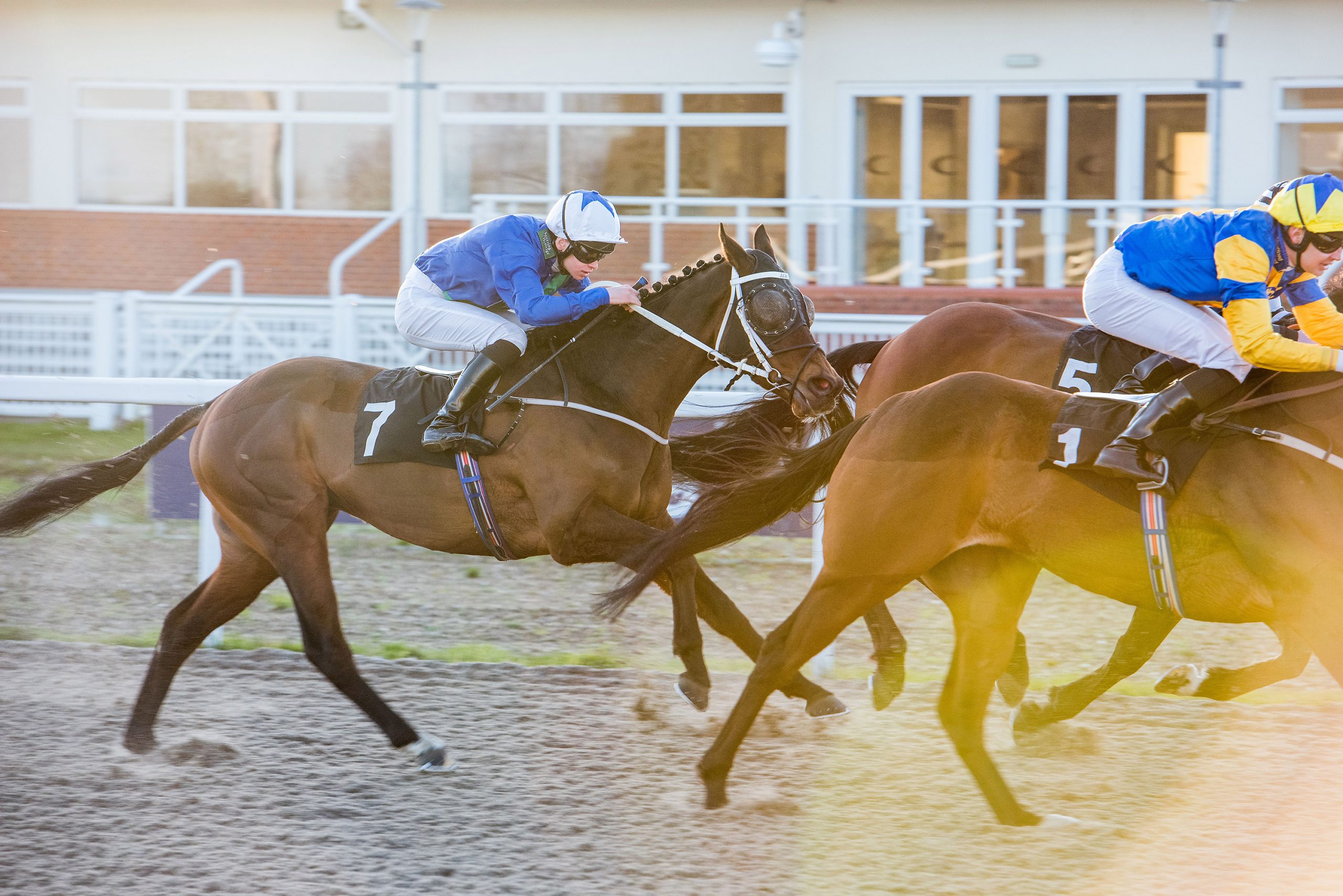 Gallery | Newmarket Racing Club