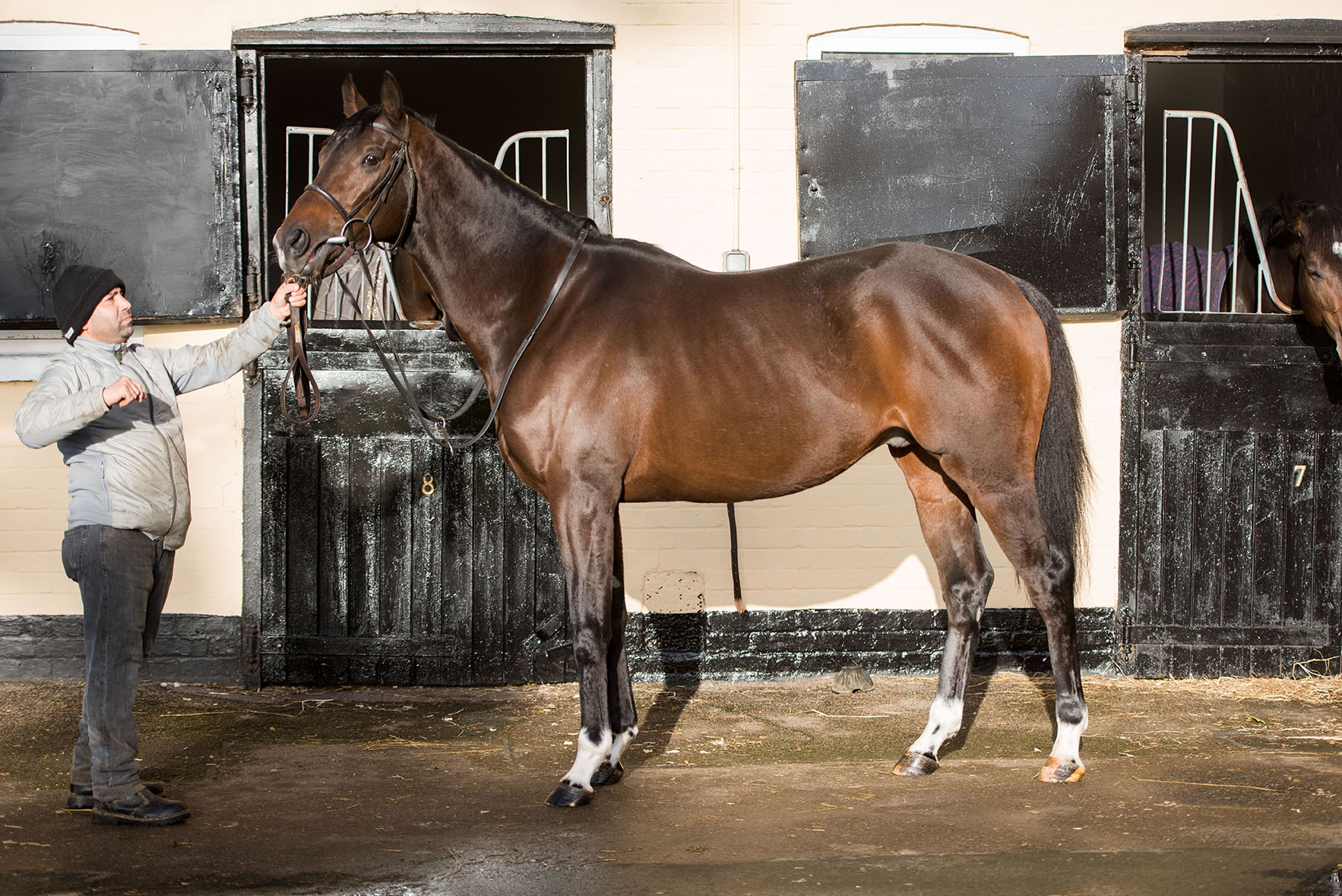 Tom Clover | Newmarket Racing Club