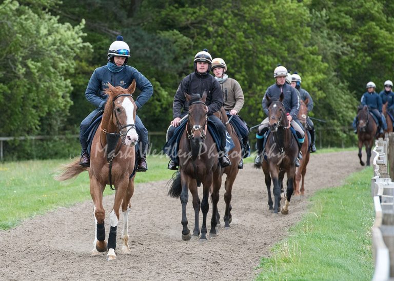 At last! Members Stable Visit with Tom Clover & Charlie Fellowes ...