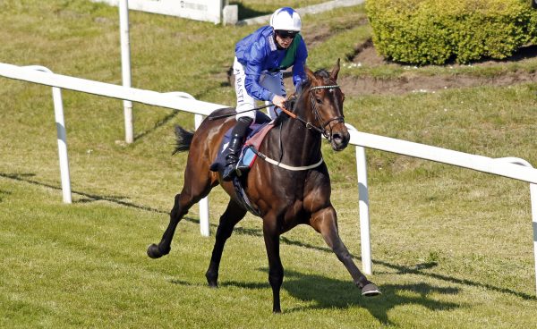 Harry Eustace - Newmarket Racing Club