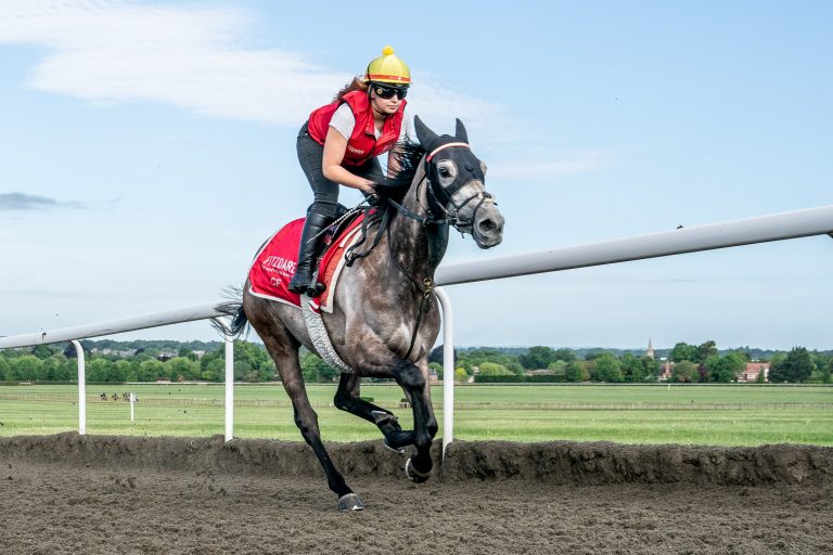 Gallery - Newmarket Racing Club