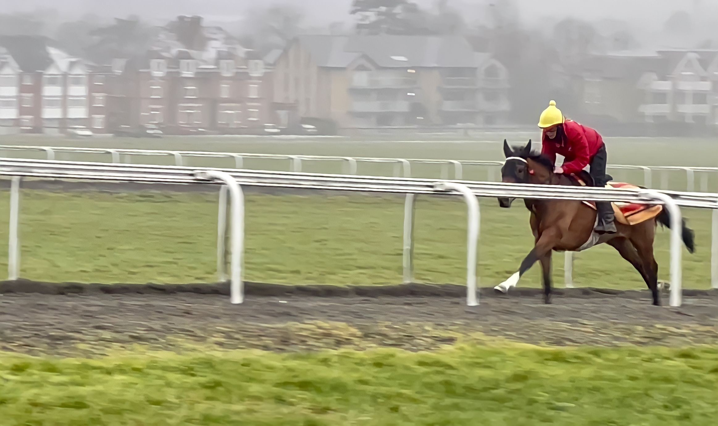 A morning with Charlie Fellowes and Churchill Rose - Newmarket Racing Club