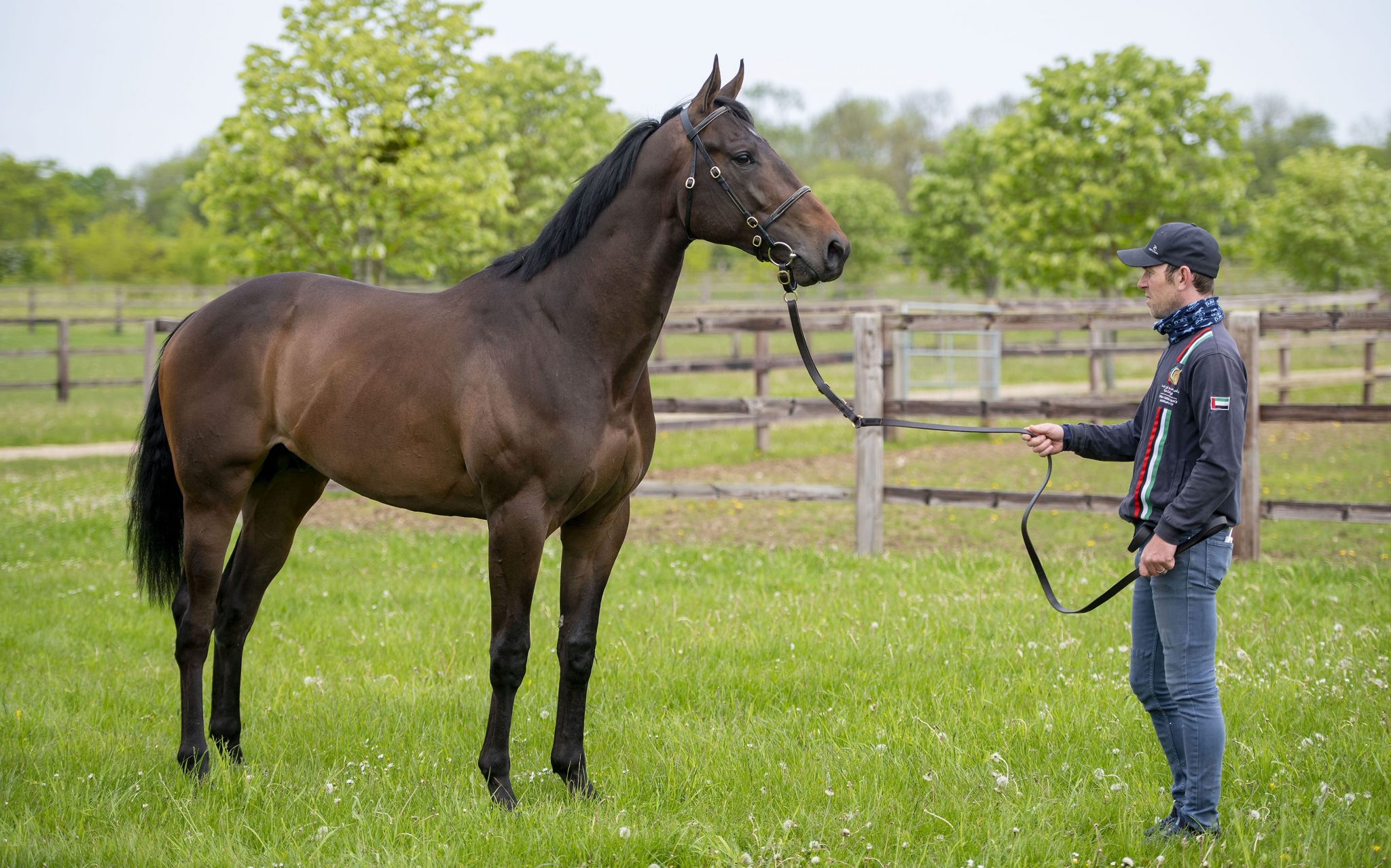 Harry Eustace - Newmarket Racing Club