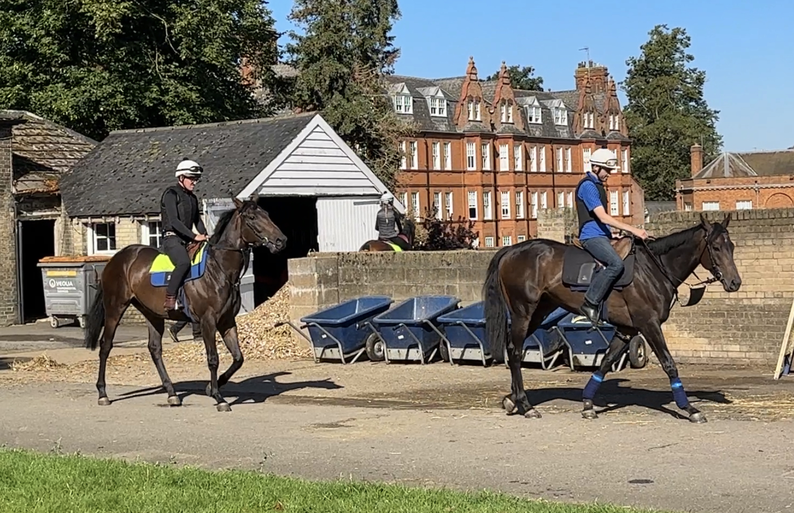 A beautiful morning with Harry Eustace at Park Lodge Stables ...