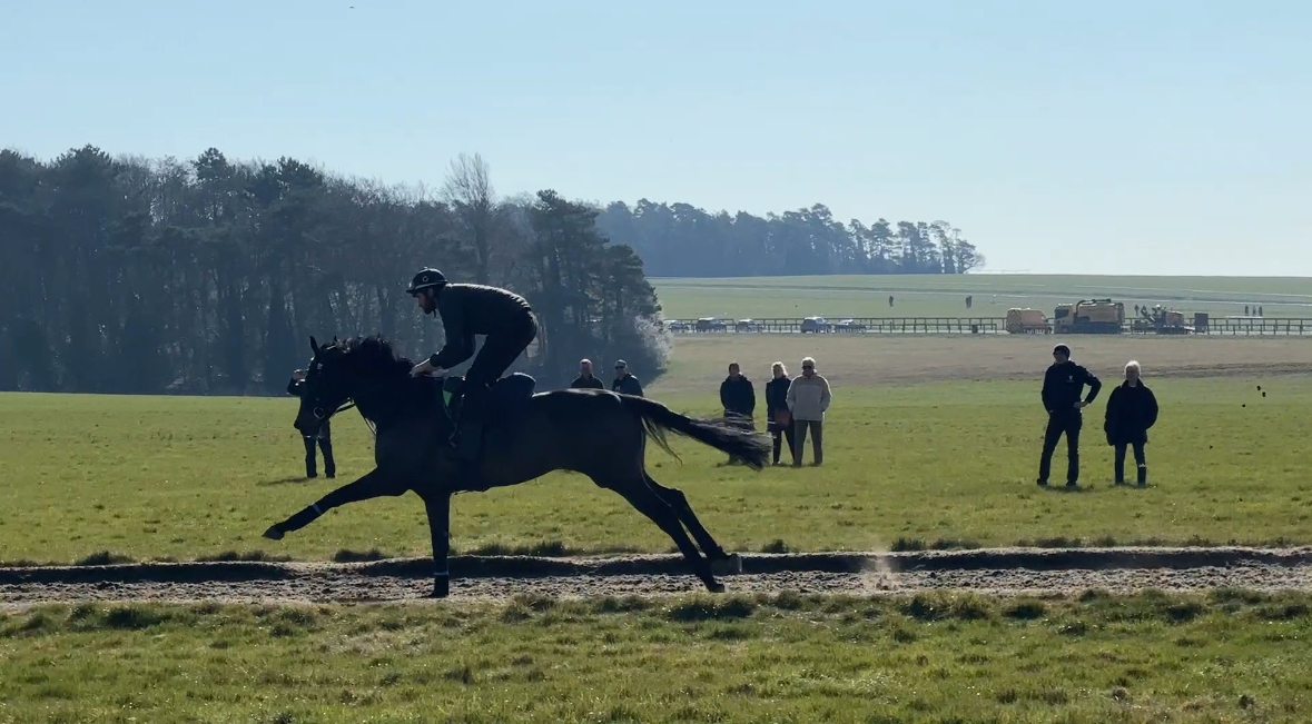 Gearing up to the start of the turf flat season! - Newmarket Racing Club